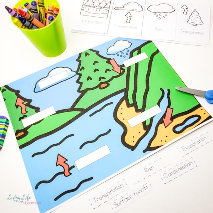 Little Learners Print & Go Activity Kit: Water Cycle