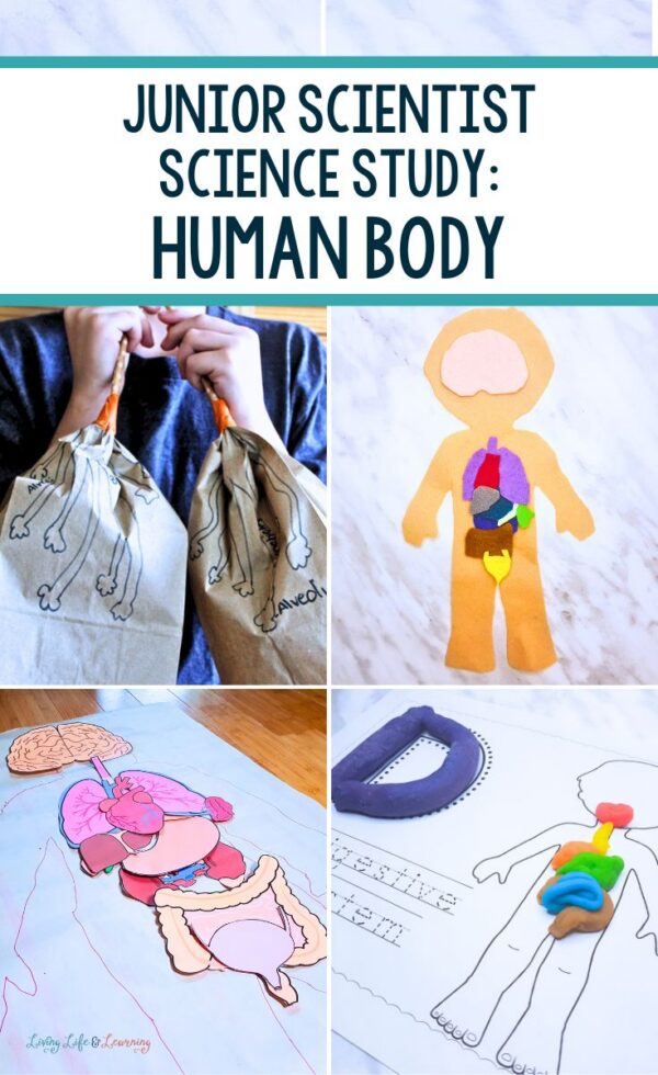Junior Scientist Science Study: Human Body