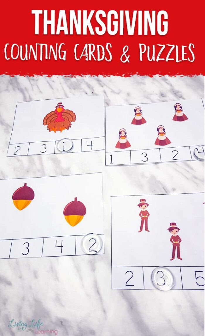 Bug Counting Cards