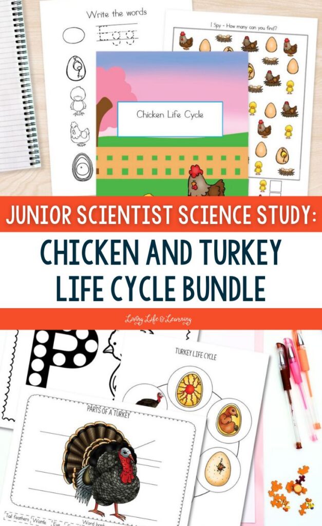 Junior Scientist Science Study Bundle: Chicken and Turkey Life Cycle