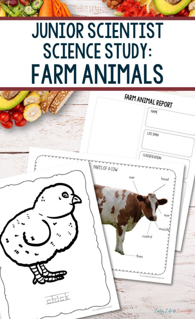 Junior Scientist Science Study: Farm Animals