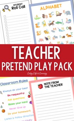 Teacher Pretend Play Pack