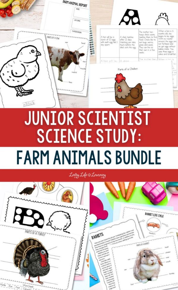 Junior Scientist Science Study Bundle: Farm Animals