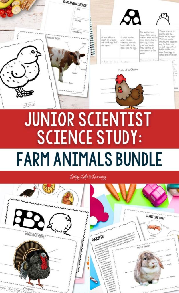 Junior Scientist Science Study Bundle: Farm Animals