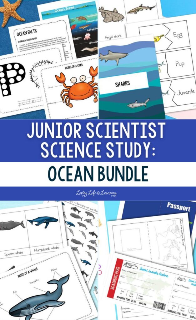 Junior Scientist Science Study Bundle: Ocean