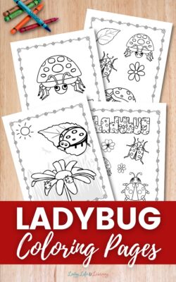 Parts of a Queen Bee Worksheet
