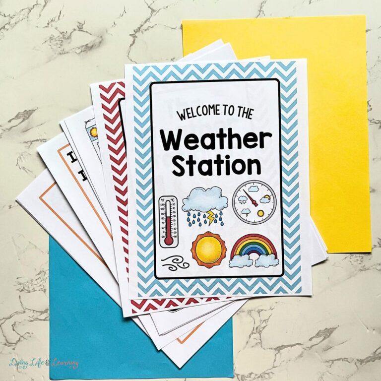 Weather Station Pretend Play Pack