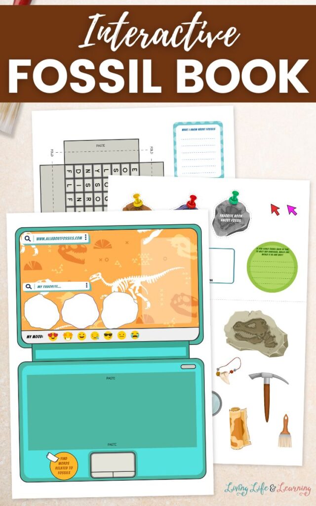 Interactive Fossil Book
