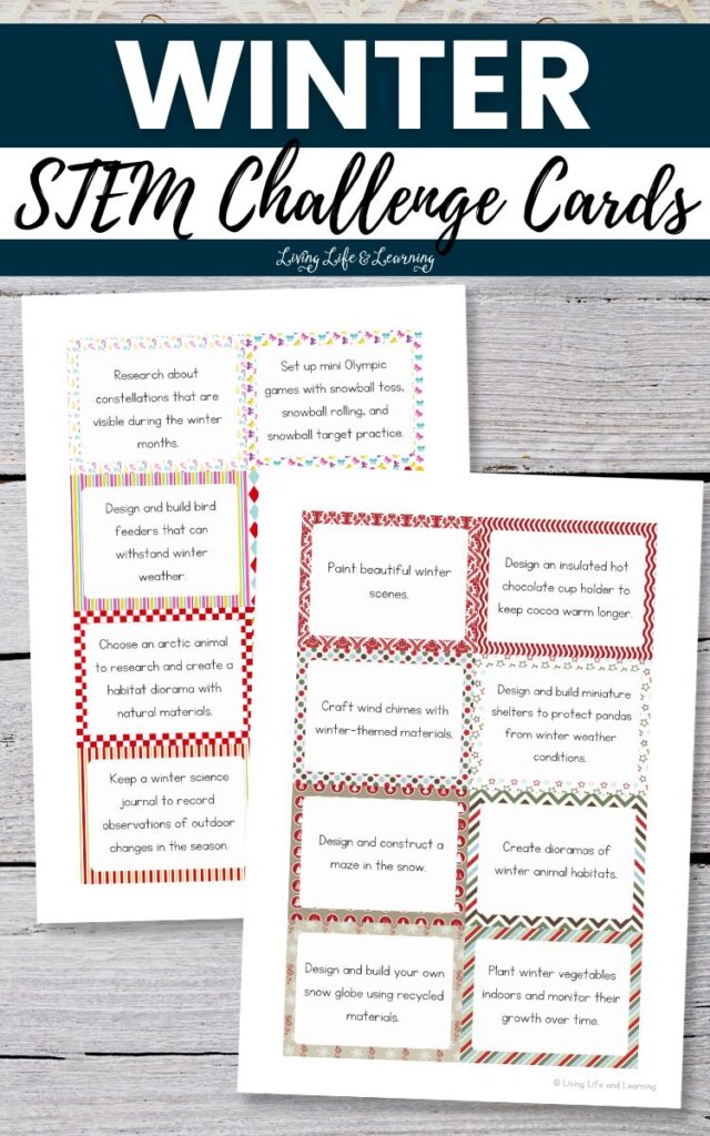 Winter STEM Challenge Cards