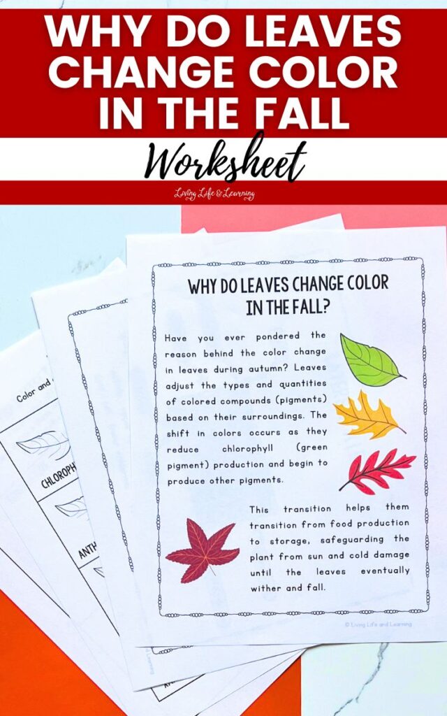 Why Do Leaves Change Color in the Fall Worksheet