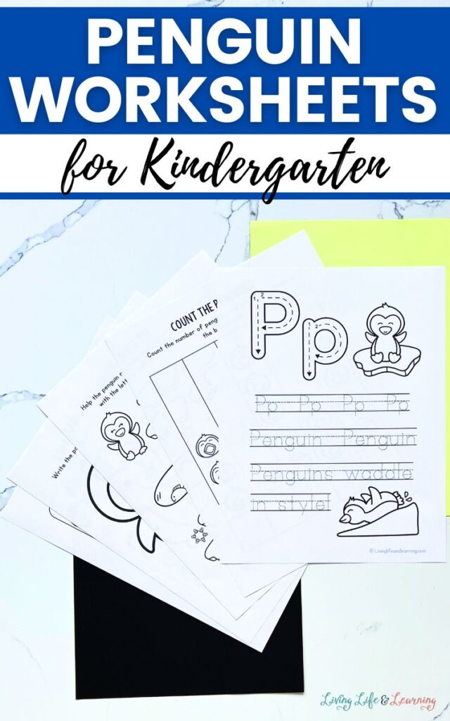 Penguin Worksheets for Kindergarten