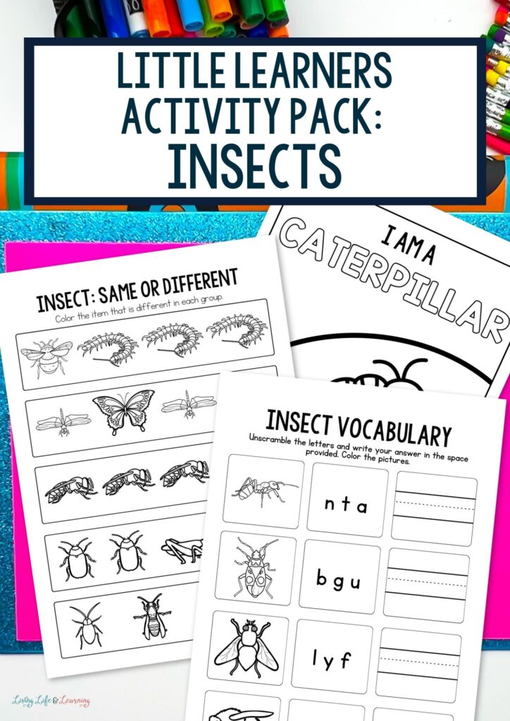 Little Learners Activity Pack: Insects