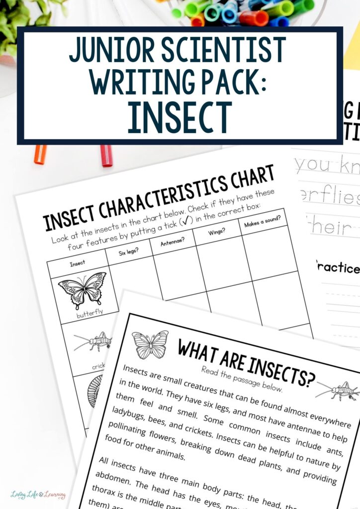 Junior Scientist Writing Pack: Insects