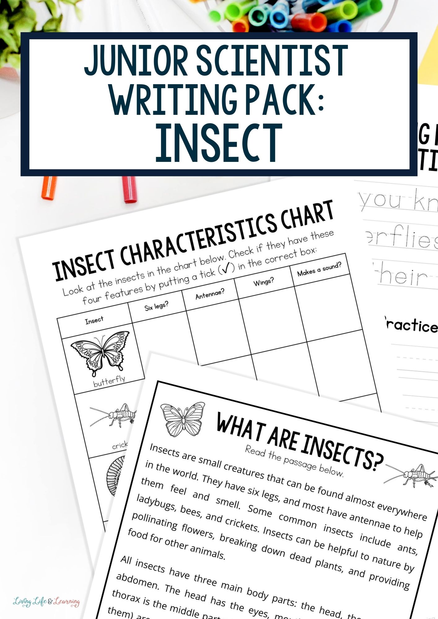 Junior Scientist Writing Pack: Insects