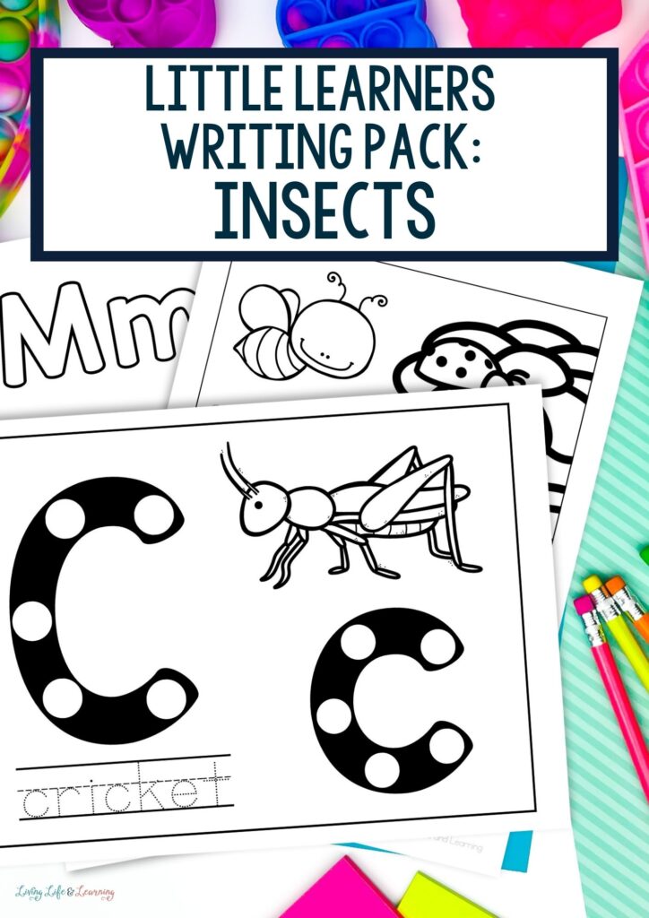 Little Learners Writing Pack: Insects