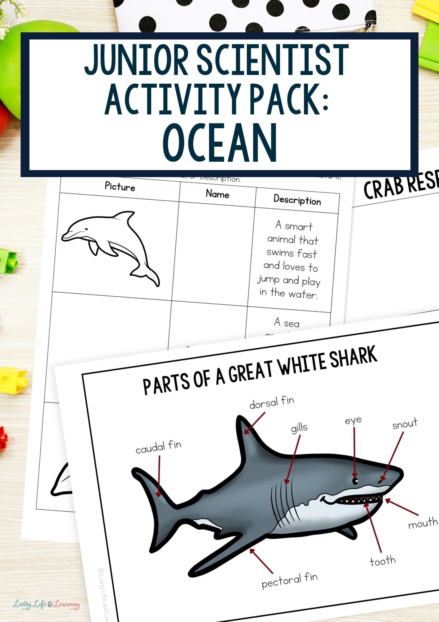 Junior Scientist Activity Pack: Ocean