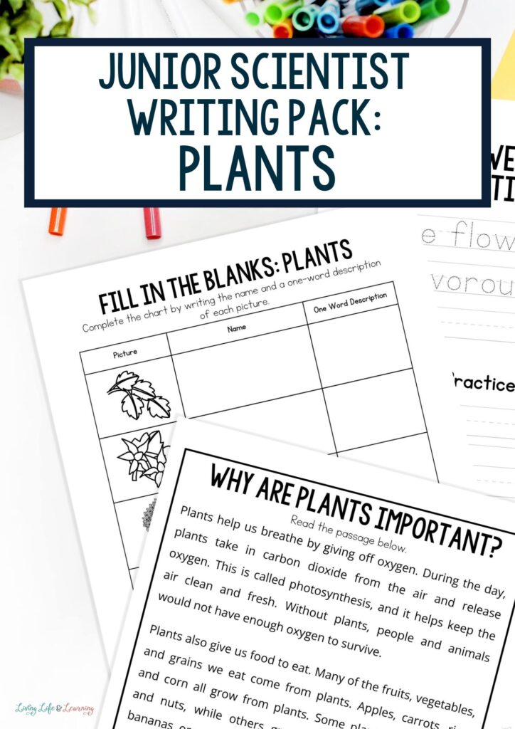 Junior Scientist Writing Pack: Plants