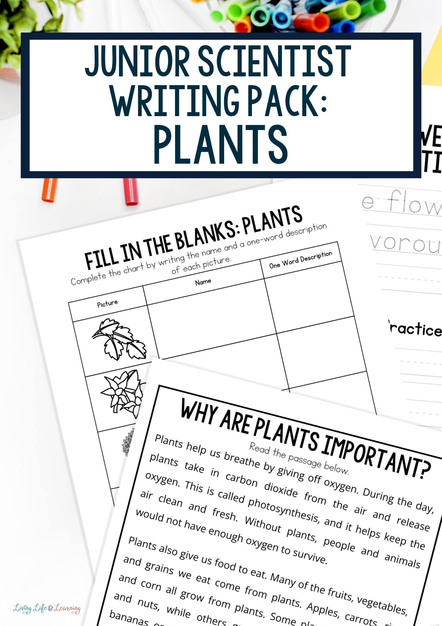 Junior Scientist Writing Pack: Plants