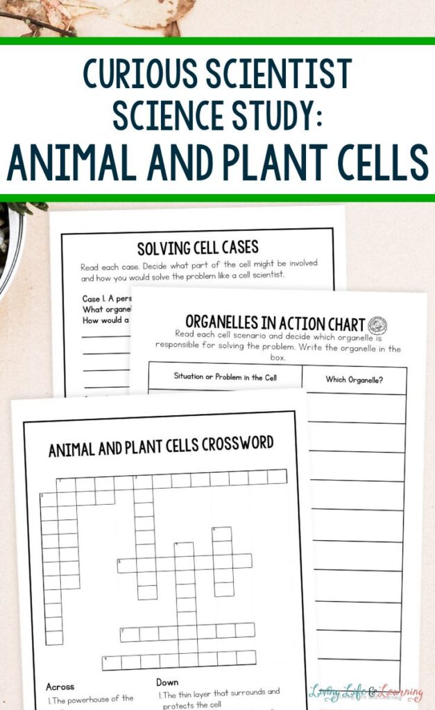 Curious Scientist Science Study: Animal and Plant Cells