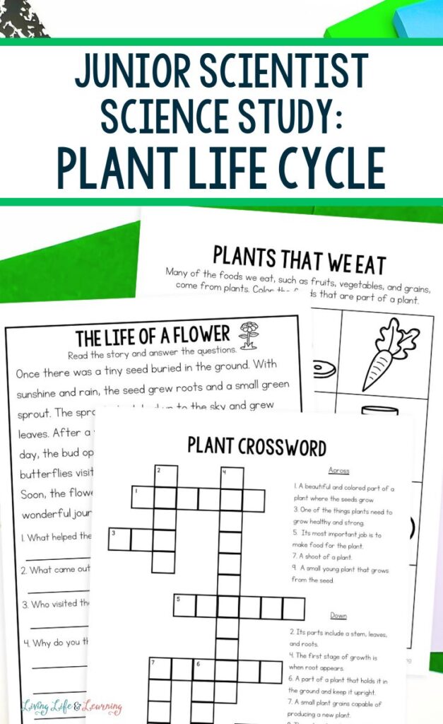 Junior Scientist Science Study: Plant Life Cycle