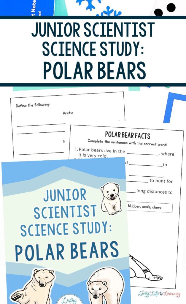 Junior Scientist Science Study: Polar Bears