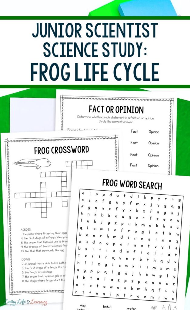 Junior Scientist Science Study: Frog Life Cycle