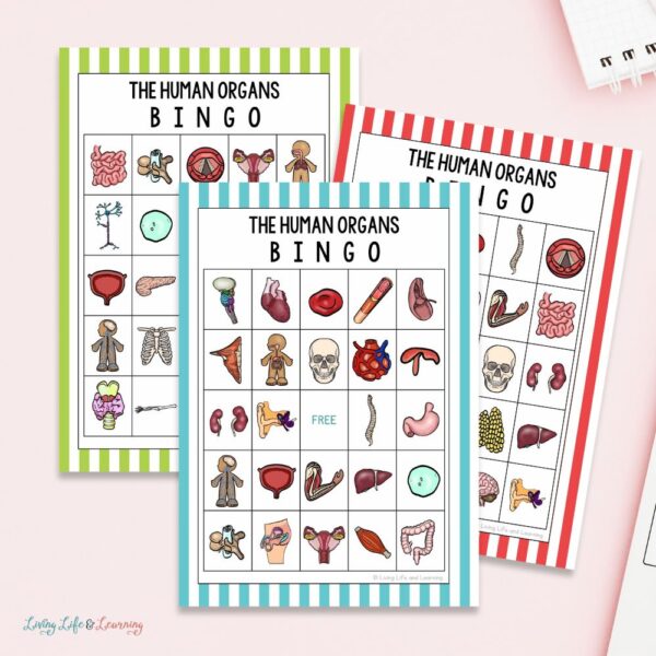 Human Body Bingo Printable