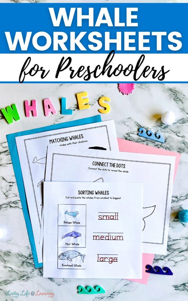 Whale Worksheets for Preschoolers