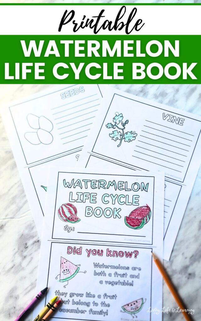 Printable Watermelon Life Cycle Book