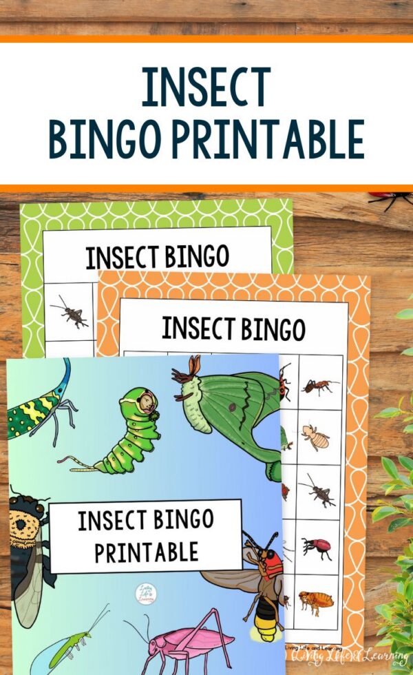 Insect Bingo Printable
