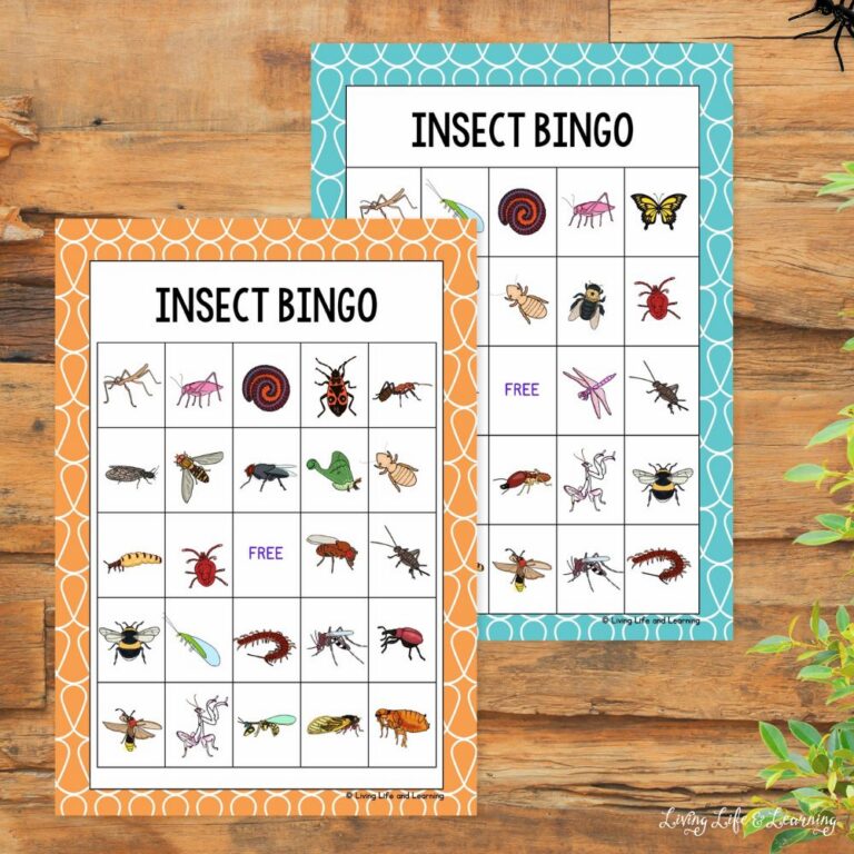 Insect Bingo Printable