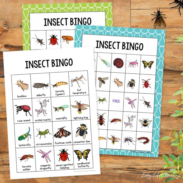 Insect Bingo Printable