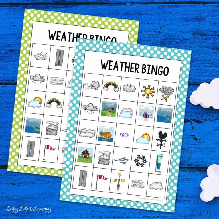 Weather Bingo Printable