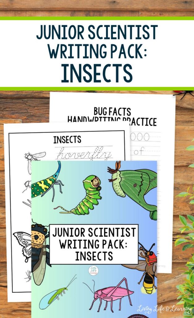 Junior Scientist Writing Pack: Insects