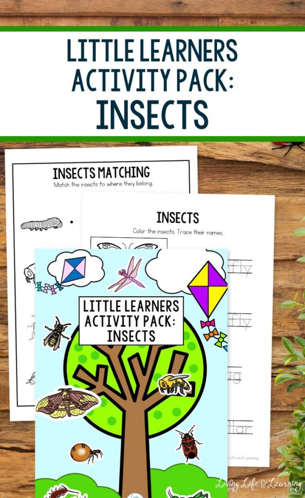 Little Learners Activity Pack: Insects