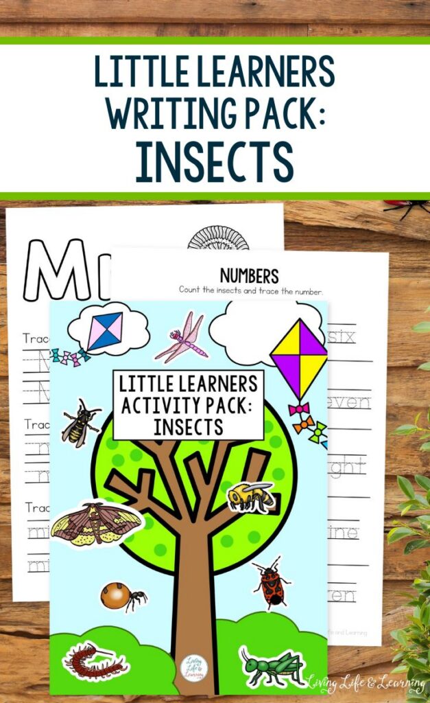 Little Learners Writing Pack: Insects