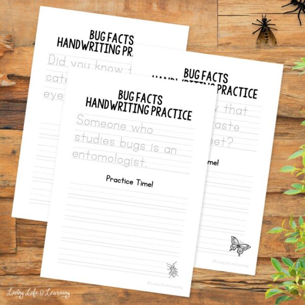 Junior Scientist Writing Pack: Insects