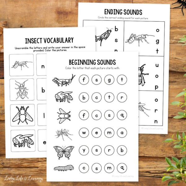 Little Learners Activity Pack: Insects