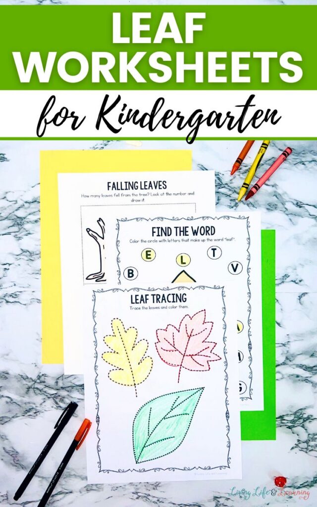 Leaf Worksheets for Kindergarten