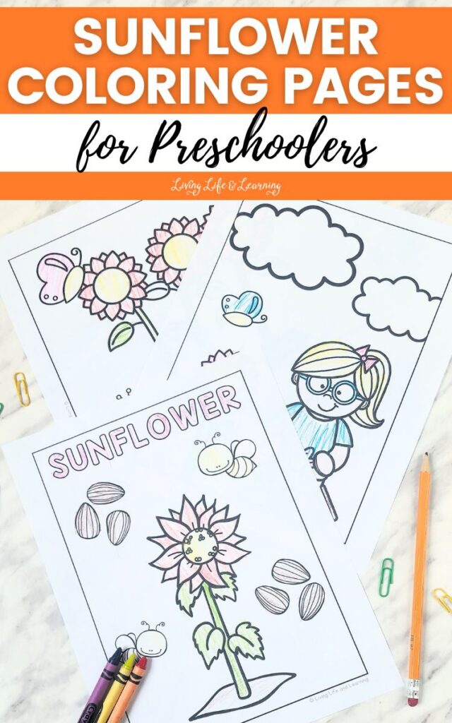 Sunflower Coloring Pages for Preschoolers