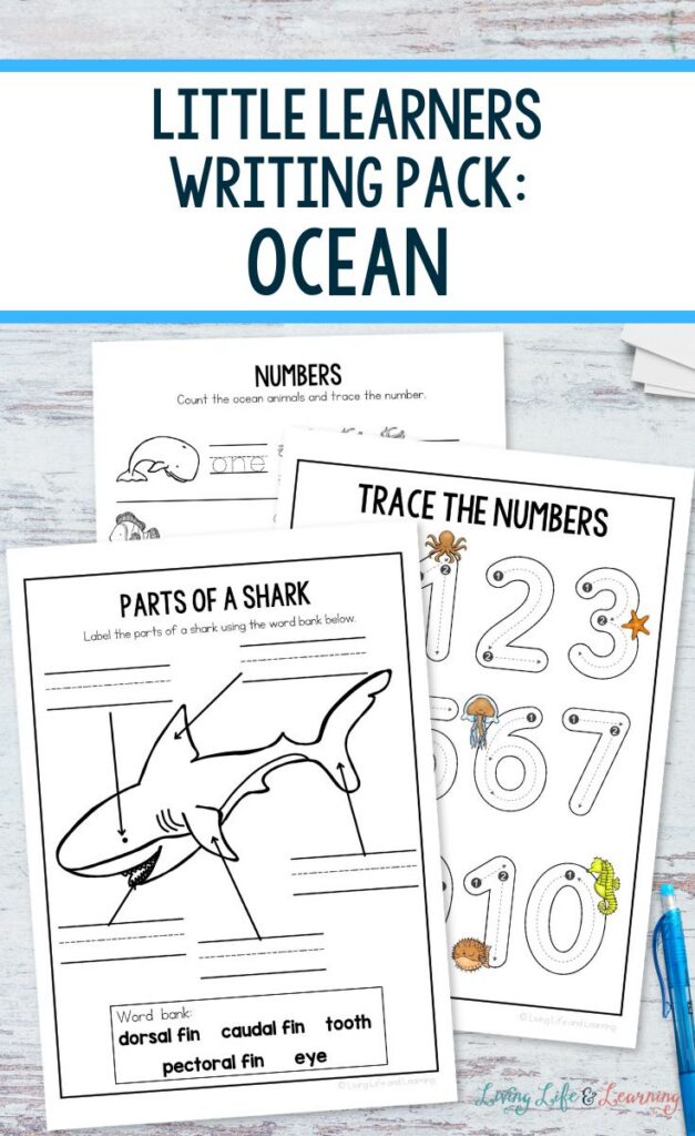 Little Learners Writing Pack: Ocean