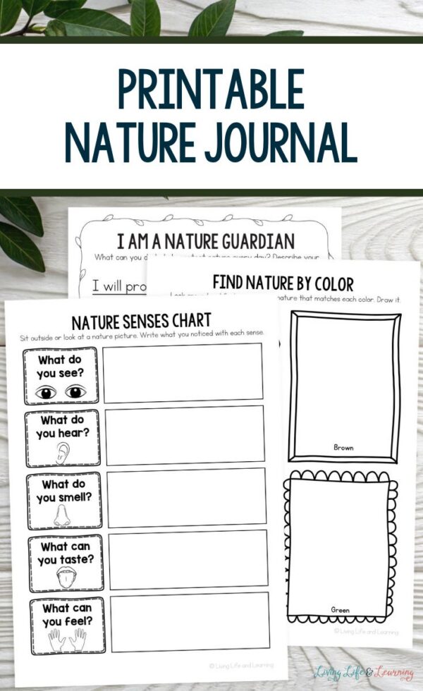 Printable Nature Journal