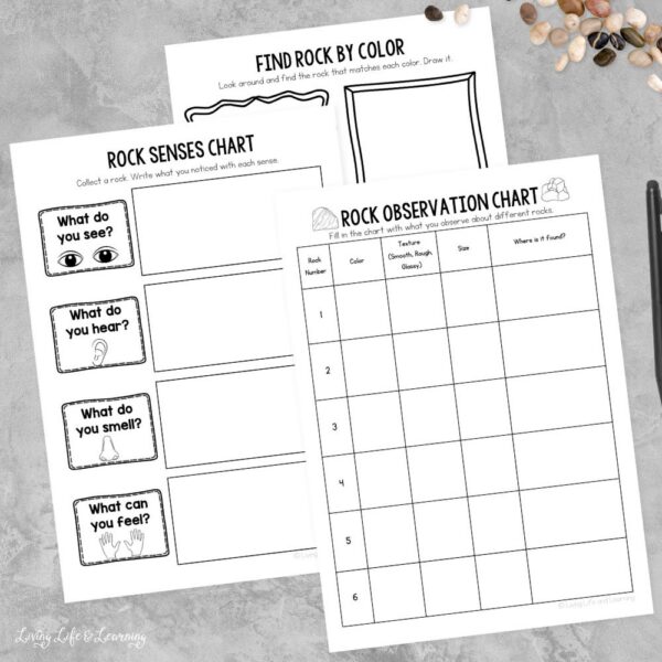 Printable Rocks & Minerals Journal