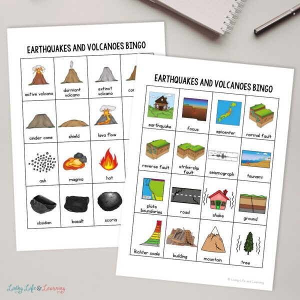 Earthquakes & Volcanoes Bingo Printables