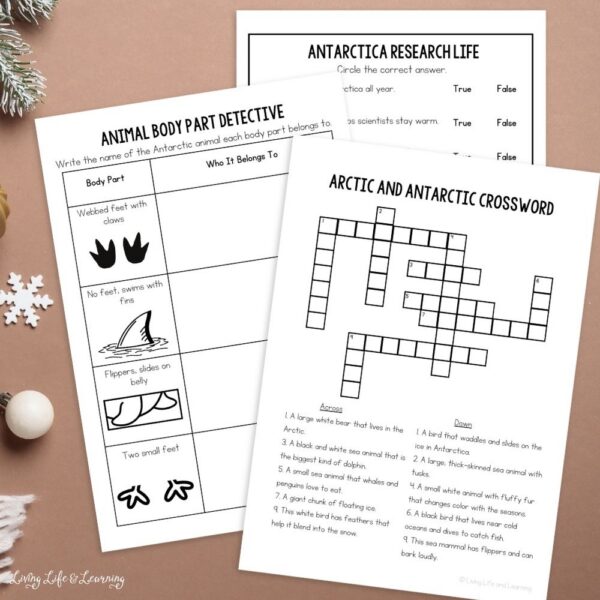 Junior Scientist Activity Pack: Arctic & Antarctic